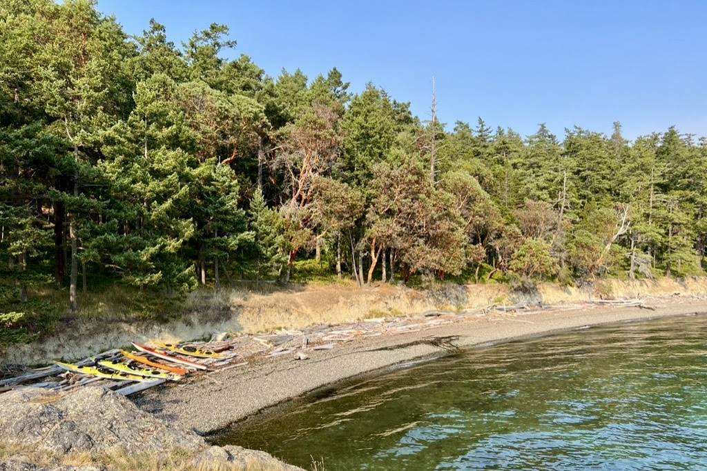 Trip Report: Kayaking the San Juan Islands with Tumalo Creek